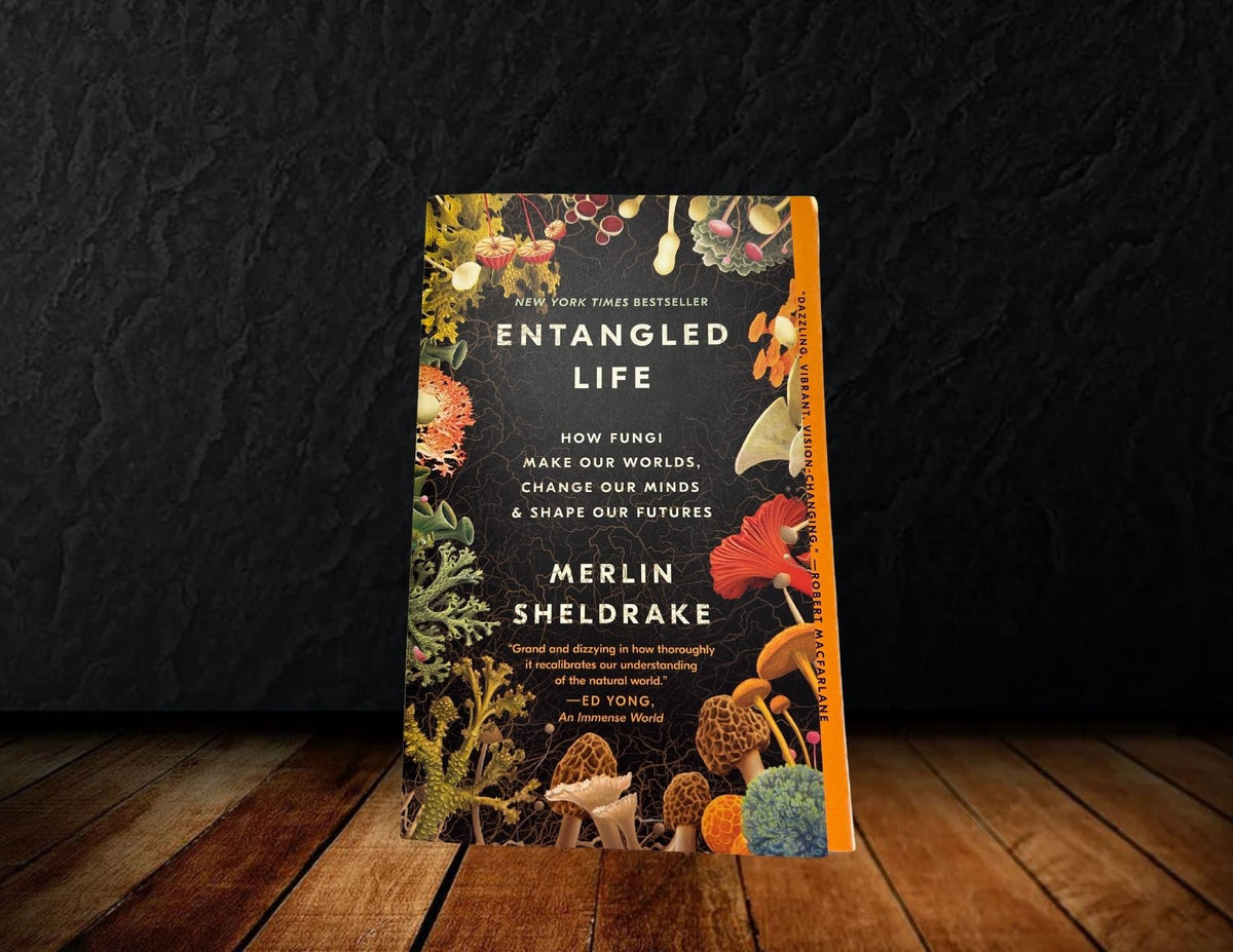 Entangled Life by Merlin sheldrake – CULTUREShrooms
